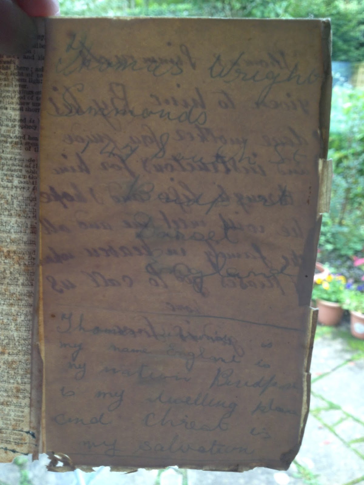 Sarah Simmonds Family Bible (Sarah Cant)