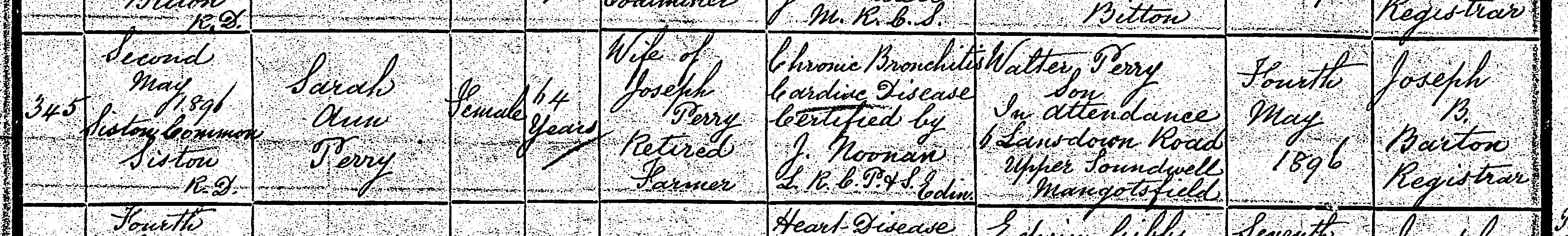 👒Sarah Ann Flook & Family